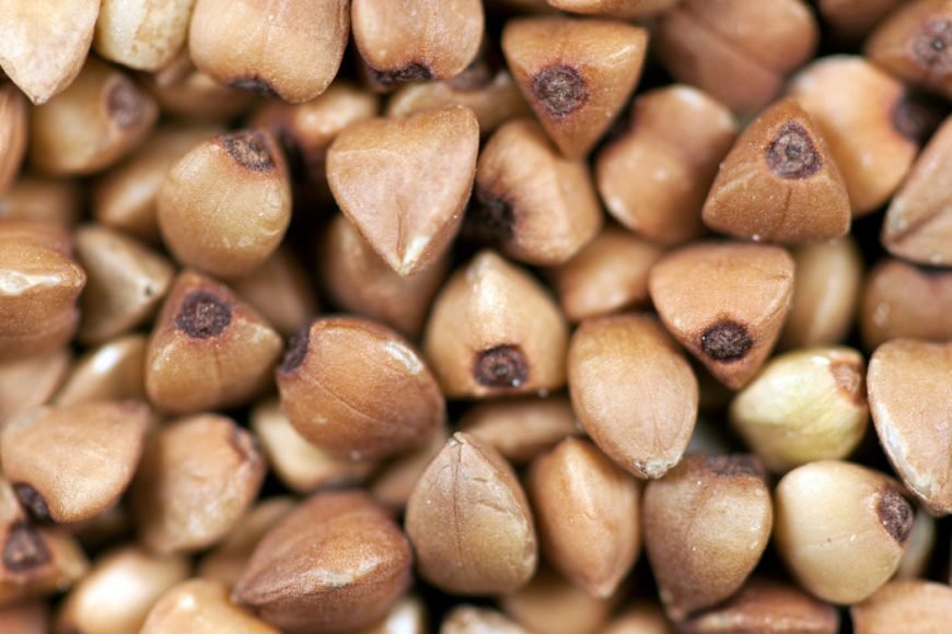 Why is Buckwheat a Superfood? | Live Eco